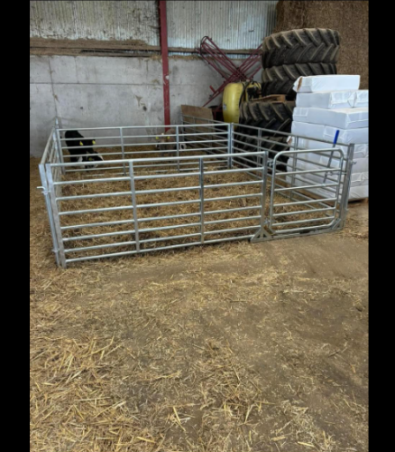 Sheep & Calf Handling Made Simple with R Finney Agri Supplies